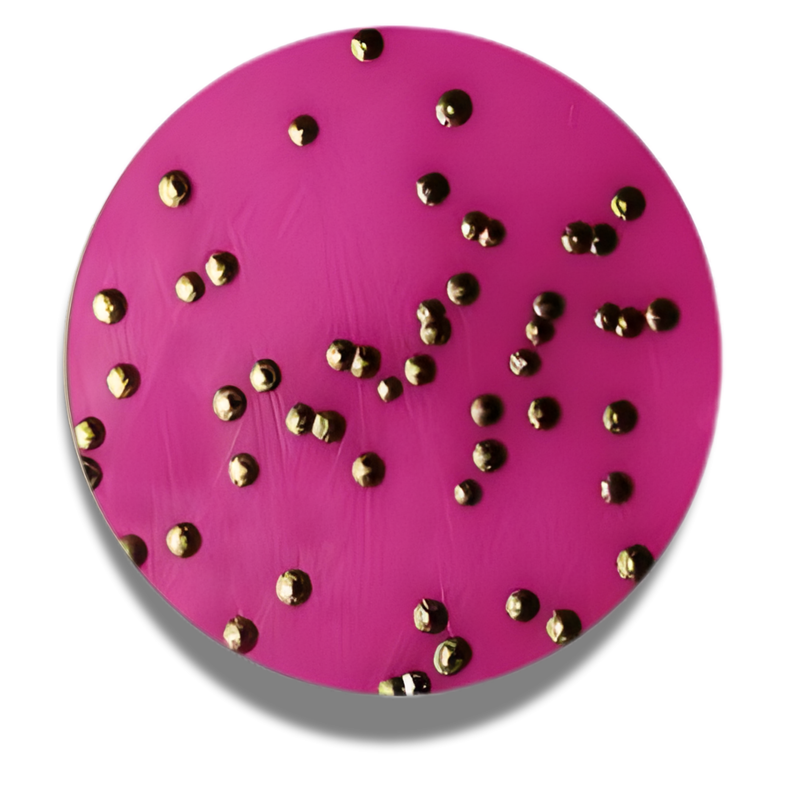 m - LES ENDO AGAR - Cornell Lab